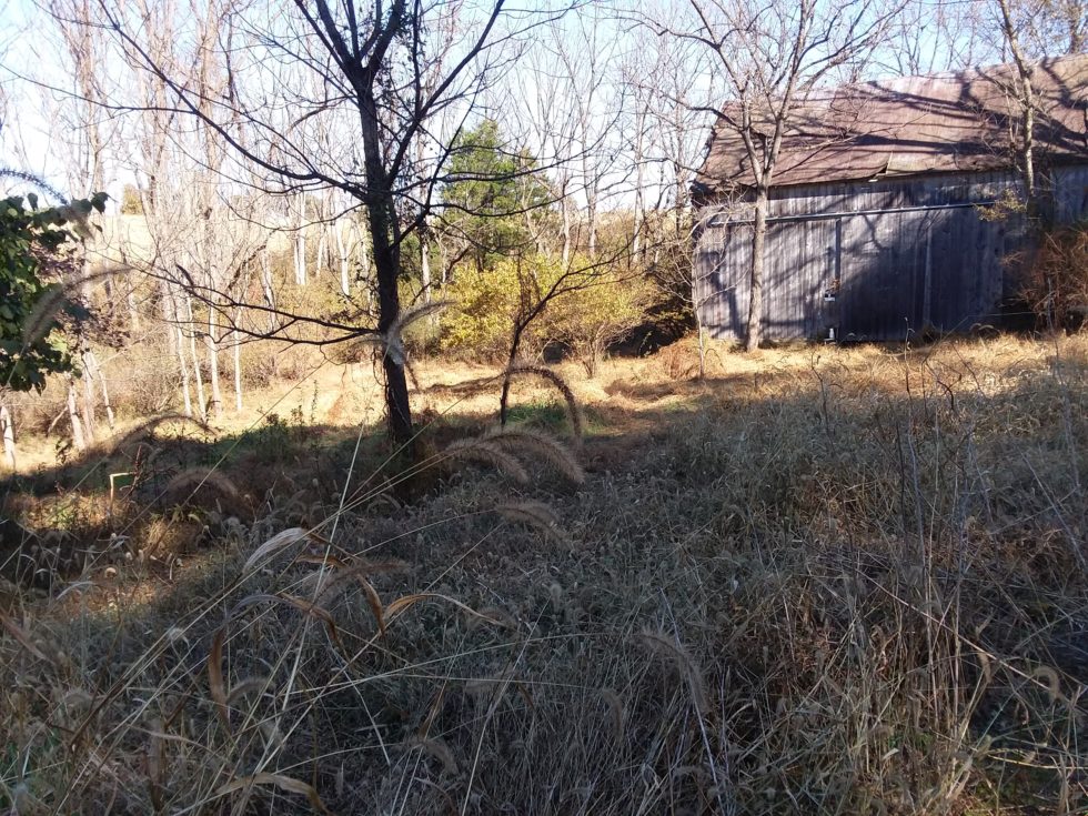 Building a Barn: A Step-by-Step Guide - Barngeek.com